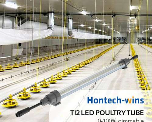 Hontech Poultry Lights System for Broiler/ Layer/ Breeder - Agroads