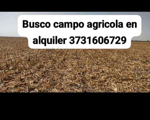 Busco Campos Agrícolas en Alquiler Resolución Inmediata - Agroads