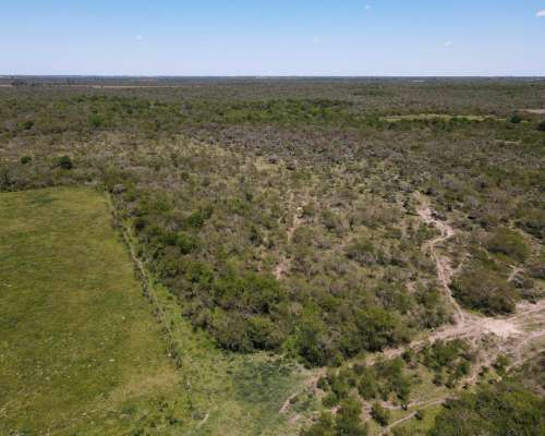 Campo Ganadero, Crucecita Séptima. Entre Rios - Agroads