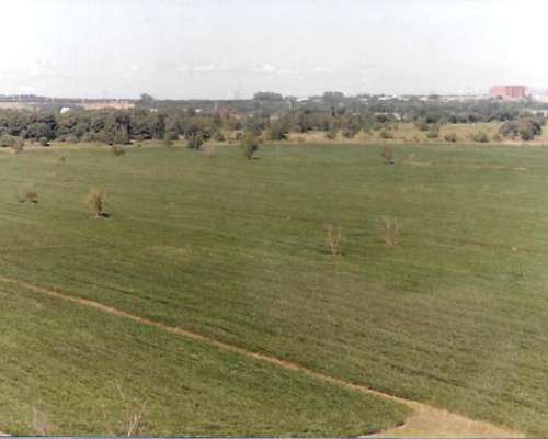Lima, Zarate, G.b.a. Zona Norte, Argentina - Agroads
