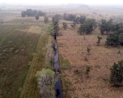 Lima, Zarate, G.b.a. Zona Norte, Argentina - Agroads