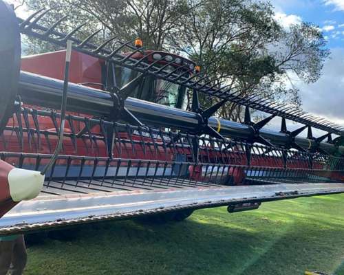 Draper Case IH 3162 de 35 Pies 2020 - Año: 2020 - Agroads