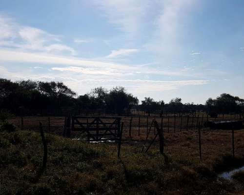 Campo Agrícola 617 HA, Aldea San Antonio, Entre Ríos.. 617 hectáreas ...
