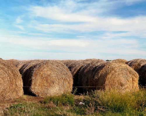 Rollos de Soja . - $ 13.000 - Agroads