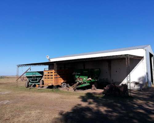 General Lopez , Santa FE, Argentina - u$s 5.000.000 / ha - Agroads