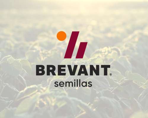 Nueva Variedad - Soja Brevant BRV 4124 SE - Agroads
