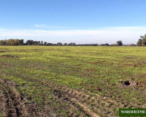 Lima, Zarate, G.b.a. Zona Norte, Argentina - Agroads