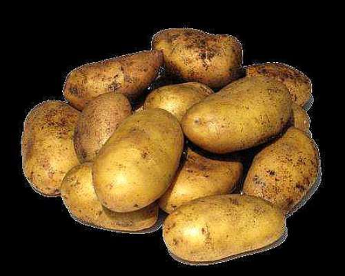 Papas (spunta) y Cebollas (valcatorce Inta y Moradas) - Agroads