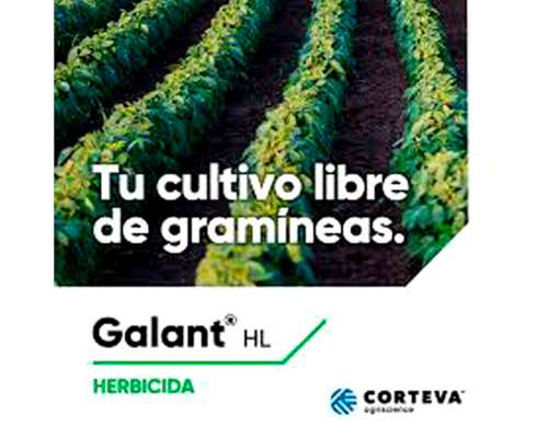 Herbicida Galant HL Postemergente - Agroads