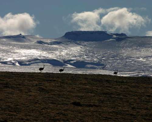 Lago Cardiel, Rio Chico, Santa Cruz, Argentina. 52377 hectáreas. - Agroads