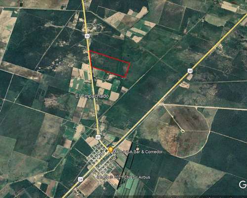 Vendo 50 Has. Santiago del Estero - el Empachado - Taboada - Agroads