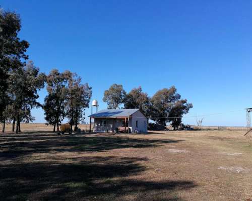 General Lopez , Santa FE, Argentina - u$s 5.000.000 / ha - Agroads