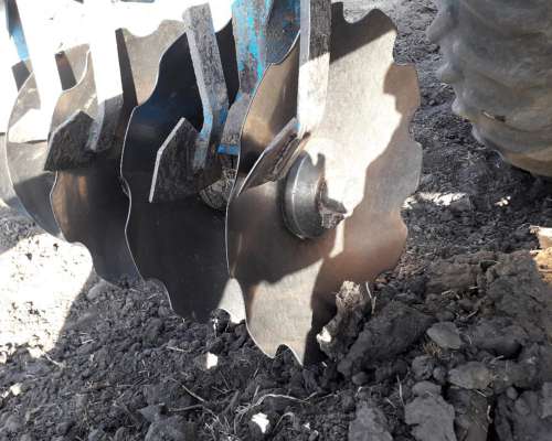 Arado Taipero Acosta con Rolo, Poco USO - Agroads (cod: 738162)