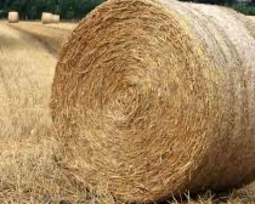 Rollos de Soja . - $ 13.000 - Agroads