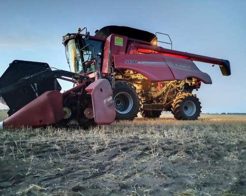 Plataforma Case 3020 Mod 2020 - Año: 2020 - u$s 40.000 - Agroads