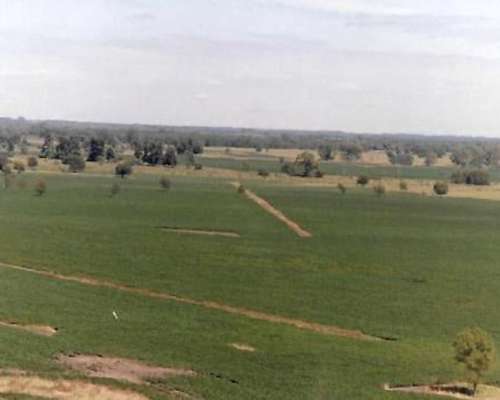 Lima, Zarate, G.b.a. Zona Norte, Argentina - Agroads