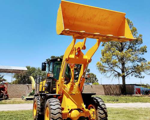Pala Cargadora Lonking Cdm833n - Año: 2020 - Agroads