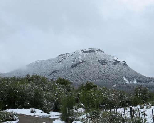 El Foyel, Bariloche, Rio Negro, Argentina. 22 hectáreas. - Agroads