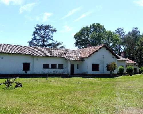 Lima, Zarate, G.b.a. Zona Norte, Argentina - Agroads