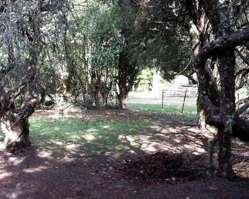 Terreno con Mejoras en Punta del Indio - Cerca del Río - Agroads