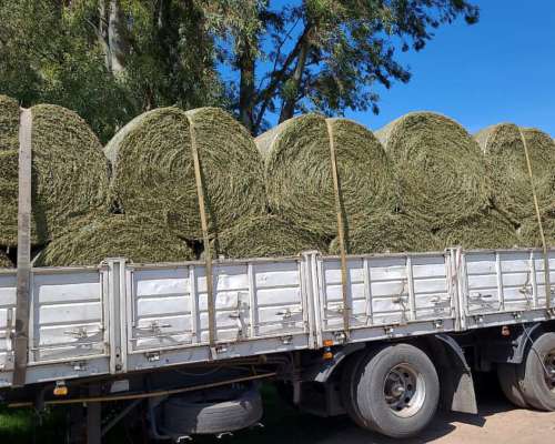 Fardo de Primera Calidad - Agroads (cod: 933494)