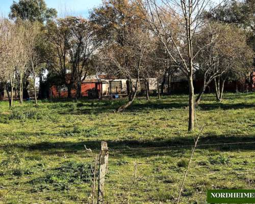 Lima, Zarate, G.b.a. Zona Norte, Argentina - Agroads