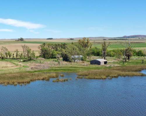 Pcia. de Cordoba - Chaján 225 Has. 225 hectáreas. - Agroads