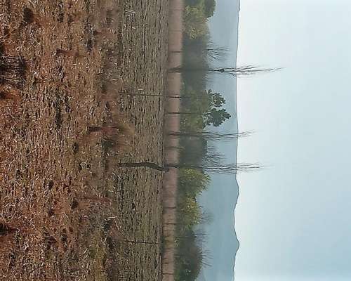 Hermoso Lote en Ambul, con Escritura Traslasierras Córdoba - Agroads