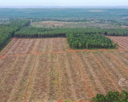 Chacra 53 Ha Tierra Colorada Limpia. Suelo 9 - u$s 159.000 - Agroads
