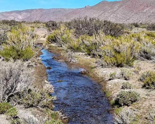 Gastre - 16.500 Ha - Chubut. 16500 hectáreas. - Agroads