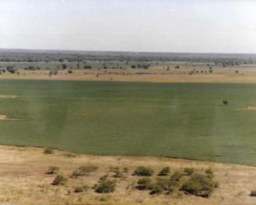 Lima, Zarate, G.b.a. Zona Norte, Argentina - Agroads