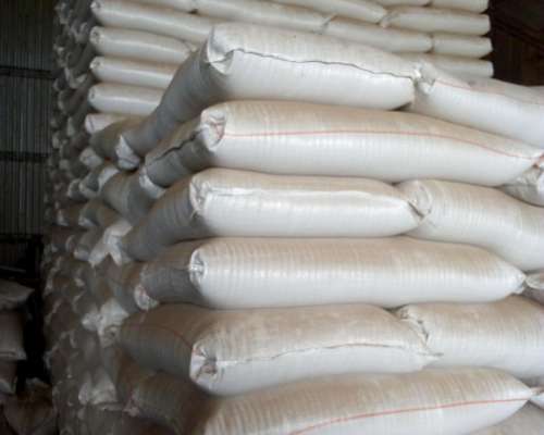 Vendo Semilla de Moha Colorada Gigante - $ 40 - Agroads