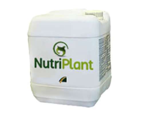 Nutriplant Fertilizante - 11-08-06 + Micronutrientes - Agroads
