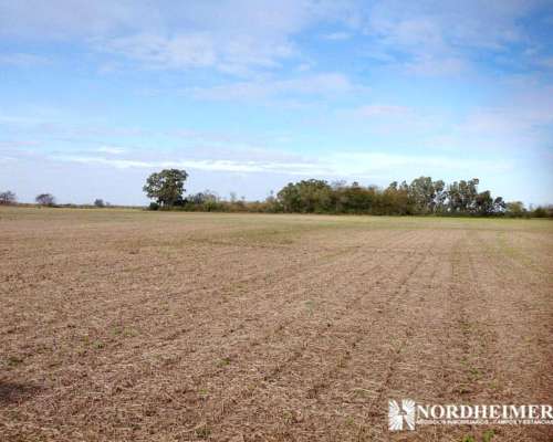 Lima, Zarate, G.b.a. Zona Norte, Argentina - Agroads