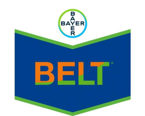 Insecticida Belt 48 Flubendiamide - Bayer - Agroads