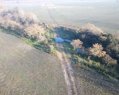 Campo en Cuarto Distrito Gualeguay - u$s 5.000 / ha - Agroads