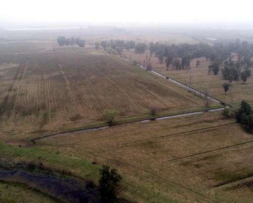 Lima, Zarate, G.b.a. Zona Norte, Argentina - Agroads