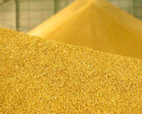 Burlanda de Maiz Seca - Lasna Insumos - MÍN 20/28 TNS - Agroads