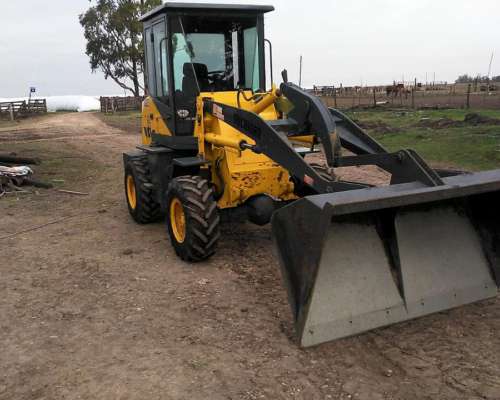 Cargadora Pala Michigan 45 - Año: 2010 - u$s 16.000 - Agroads