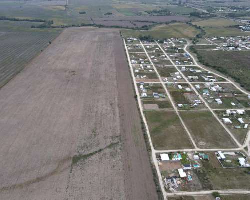 Campo Agrícola, Colonia Ensayo, Entre Rios - u$s 26.000 - Agroads