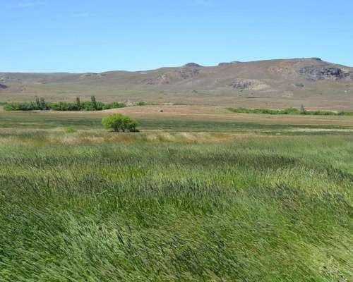 Rio Pico, Chubut - 2.700 Ha. 2700 hectáreas. - Agroads