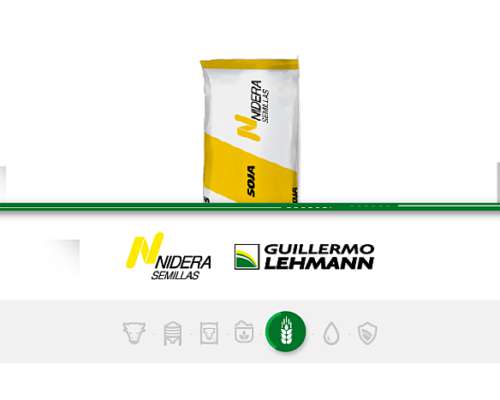 Ns 5258 - Semillas de Soja Nidera - Agroads