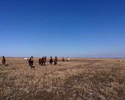 General Lopez , Santa FE, Argentina - u$s 5.000.000 / ha - Agroads