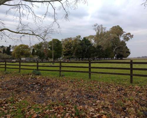 Espectacular Campo en Lima - u$s 8.350 / ha - Agroads