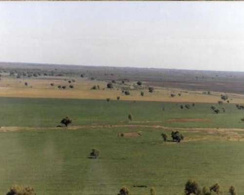 Lima, Zarate, G.b.a. Zona Norte, Argentina - Agroads