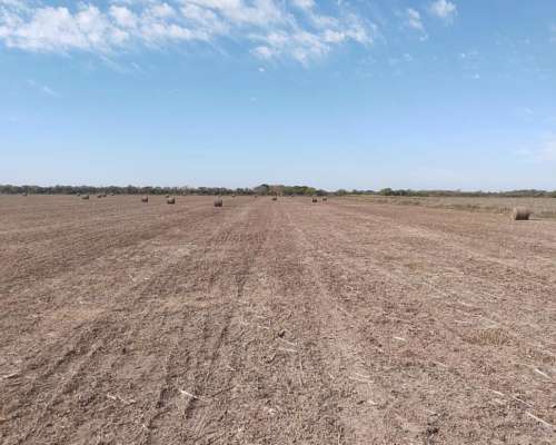 Vendo Rollos de Sorgo y Soja - $ 15.000 - Agroads