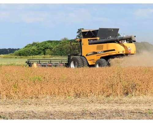 Cosechadora Challenger 540c. Nueva. - Año: 2021 - Agroads