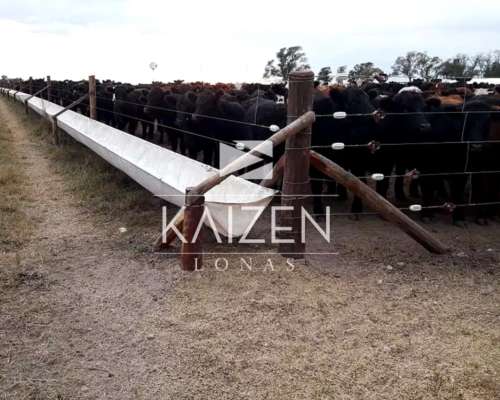 Comederos de Lona de PVC Reforzada - $ 242.250 - Agroads