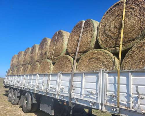 Fardo de Primera Calidad - Agroads (cod: 933494)