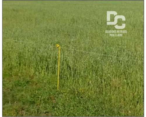 Varillla 8mm Rulo Simple - Agroads